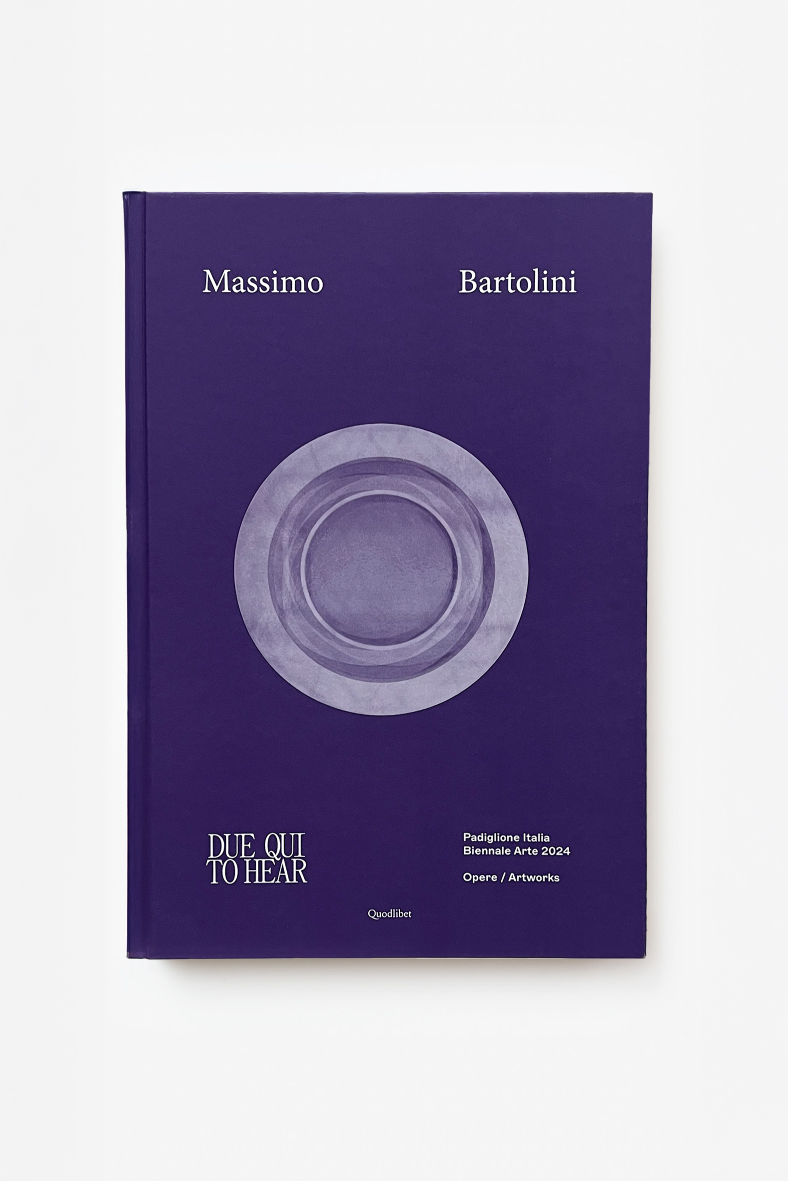 MASSIMODECARLO – Massimo Bartolini. DUE QUI / TO HEAR. Padiglione ...