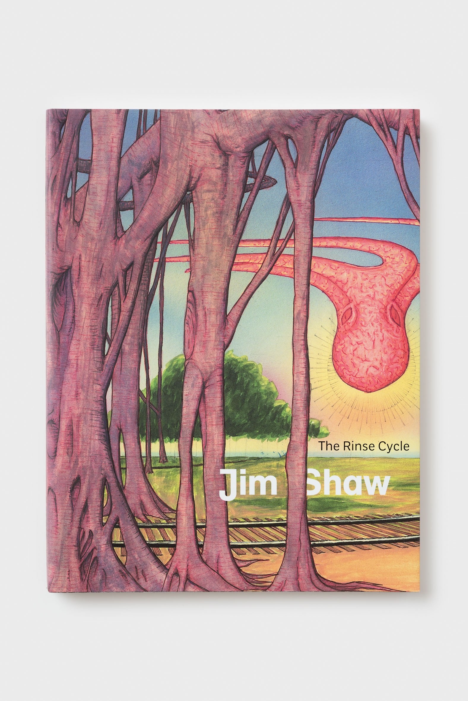 MASSIMODECARLO – Jim Shaw. The Rinse Cicle