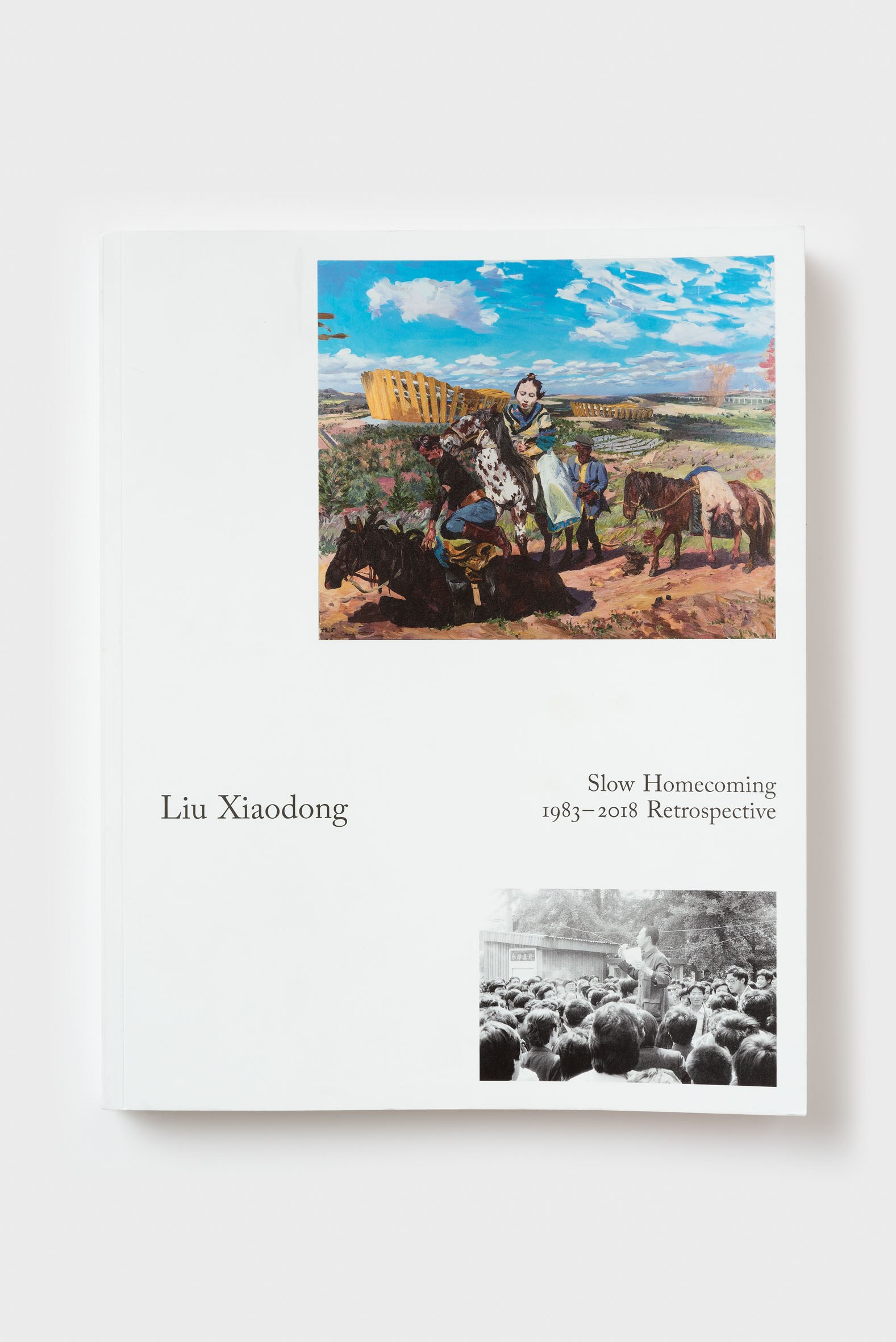 MASSIMODECARLO – Liu Xiaodong: Slow Homecoming. 1983 -2018 Retrospective